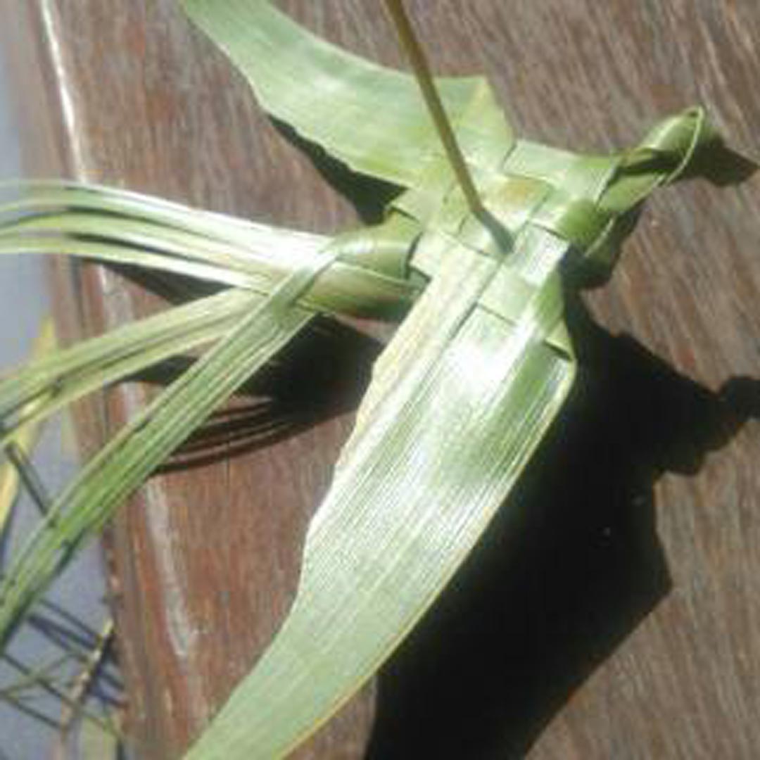 Workshop - Woodfordia Inc